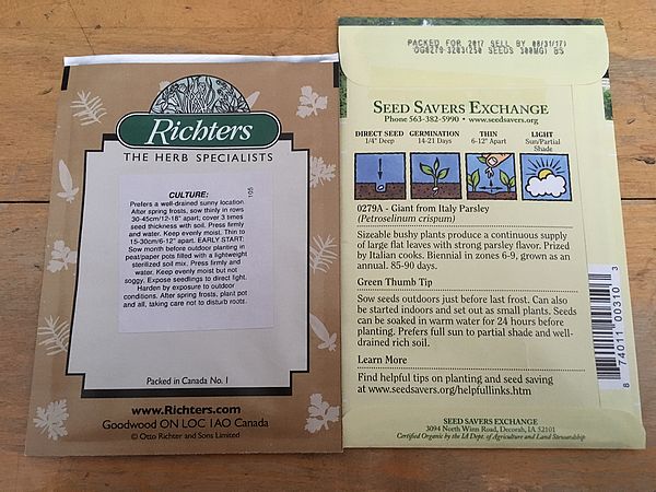 Growing Herbs From Seed – 5 Tips For Success Starting Garden Plants ...